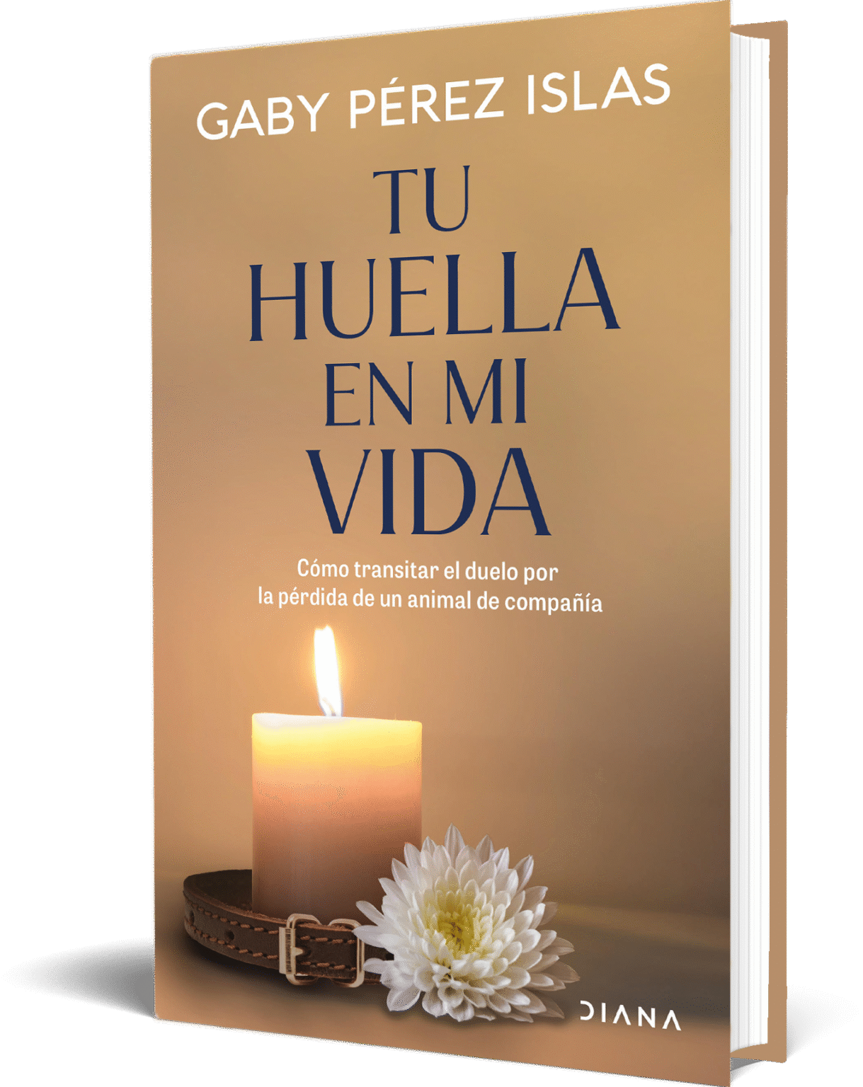 Libros – Gaby Tanatóloga